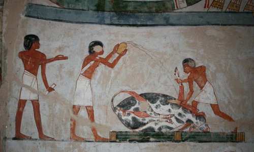 The Mourning Ritual in the Opening of the Mouth Ceremony. | HAIR AND ...