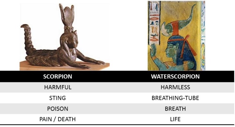 HAIR AND DEATH IN ANCIENT EGYPT | Ancient Egypt documents show us what ...